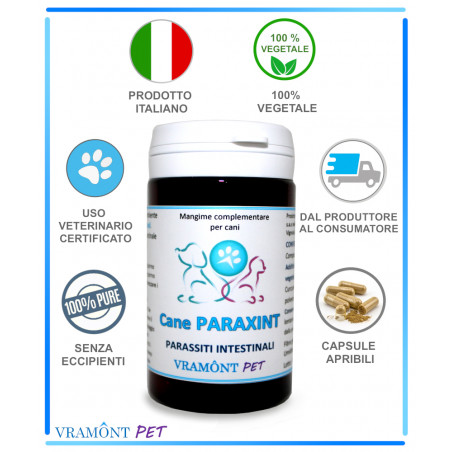 CANE PARAX INT Parassiti Intestinali