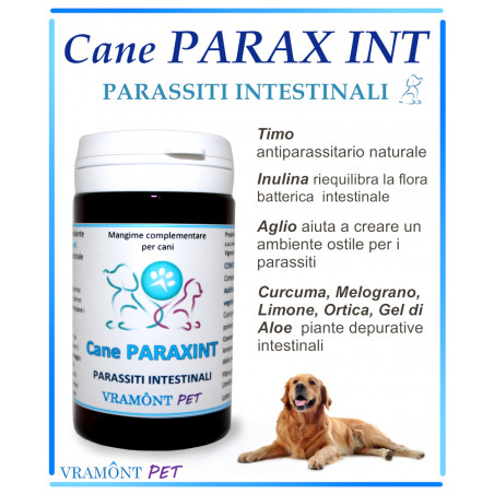 CANE PARAX INT Parassiti Intestinali